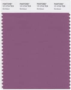 PANTONE SMART 17-1710X Color Swatch Card, Bordeaux by Pantone : Amazon ...