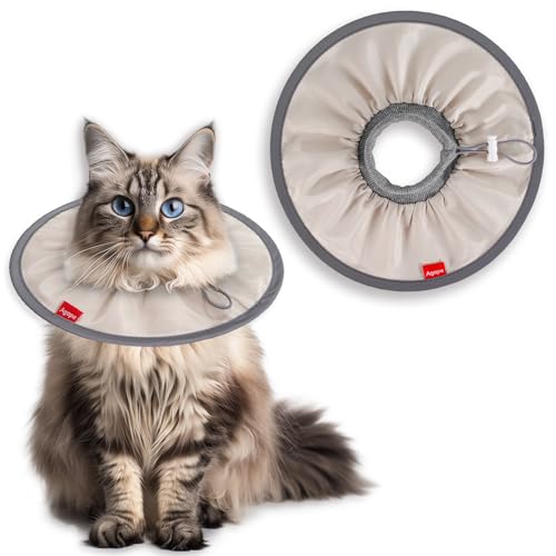 Cat Cones – The 15 best products compared - Wild Explained