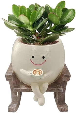 EliphonTowne Rocking Chair Plant Pot - Rocking Chair Flower Pots with ...