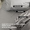 Amazon.com: Miracle Made Extra Luxe Bed Sheets Set - Stone, Queen – 4 ...