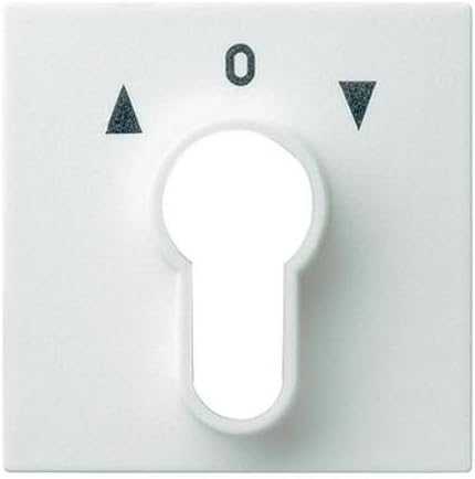 Amazon.com: CENTRAL PLATEKEY SWITCH PURE WHITE SHINI : Home & Kitchen