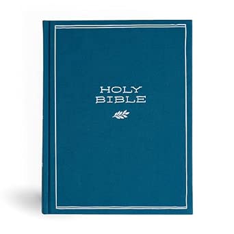 CSB Illustrator’s Notetaking Bible, Large Print, Deep Caribbean Blue ...