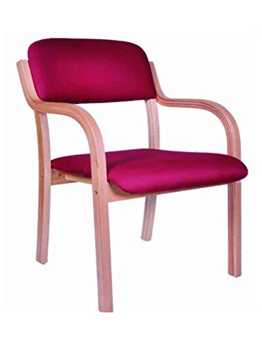 Promax Chair model 280 (Pack of 02 Chairs) : Amazon.in: Sports, Fitness ...