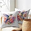Amazon.com: Granbey Lovely Hummingbird Throw Pillow Covers - Colorful ...