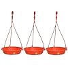 Vreeny Sparrow Bird Water Feeder (Sparrow Terra Cotta, Pack of 03 ...