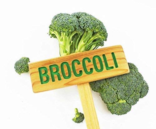 Amazon.com: BROCCOLI Garden Sign, Painted & Oil Sealed Cedar Wood: Hand ...