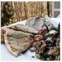 Fresh Food Fast: Delicious, Seasonal Vegetarian Meals in Under an Hour ...