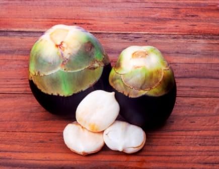 PALMYRA FRUIT - Taad Gola - (பனை நுங்கு) - 4 FRUIT (12 Hole's) : Amazon ...