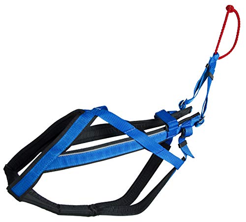10 Best Cart-Pulling Dog Harnesses: Pulling Your Pooch in Style! - Furry Folly