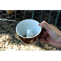Buy CREATURE CUPS Bear Ceramic Cup (11 Ounce, Dark Brown) | Hidden ...