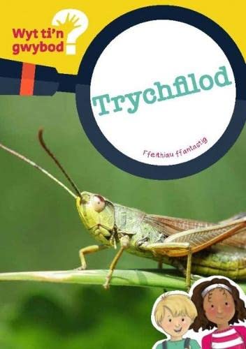 Cyfres Wyt Ti'n Gwybod?: Trychfilod : Bethan Clement: Amazon.co.uk: Books
