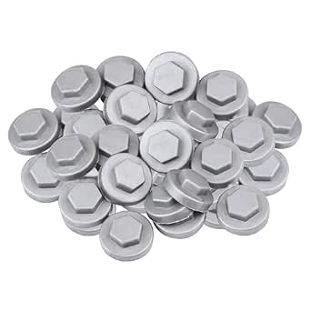 Amazon.com: Abeicy 400 Packs Silver Gray 8mm Hex Roofing Screw Caps ...