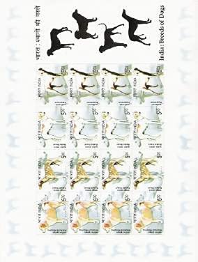 Breeds of Dogs (SL) : Amazon.in: Pet Supplies