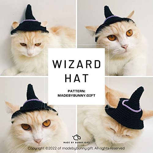 Amazon.com: Crochet WIZARD HAT Crochet Amigurumi Patterns For Beginners ...