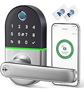 Smart Keypad Door Lock with Handle: NICE DIGI Keyless Entry Digital ...
