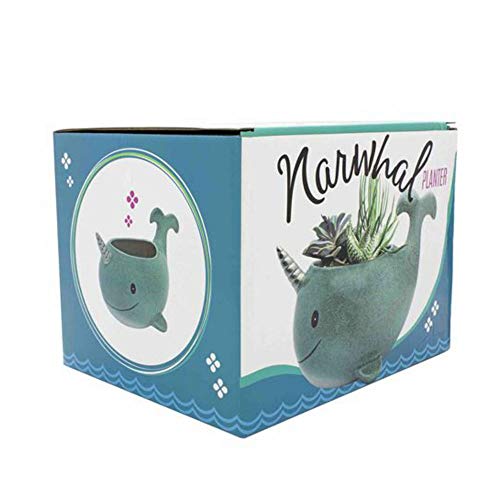 The 28 Best Streamline Imagined Planters of 2023 [Verified] - Cherry Picks