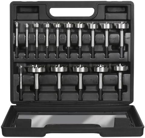 Steelex D3573 Forstner Bit Set with Hex Shank, 16-Piece : Amazon.ca ...