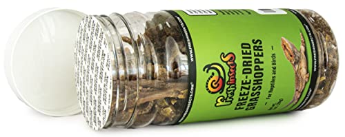 Freshinsects Freeze Dried Grasshoppers, Reptile Food or Treats ...