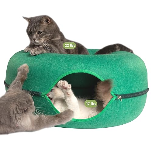 Snapklik.com : CATTASAURUS Peekaboo Cat Cave For Multiple Cats & Large ...