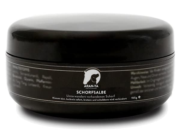 Gnitzen Pferd – Die 15 besten Produkte im Vergleich - Reiterguide Ratgeber