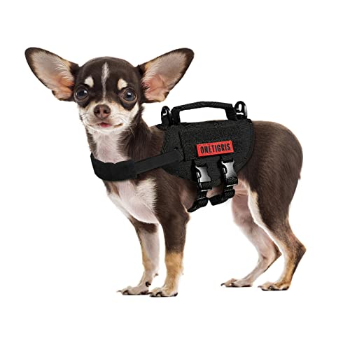 XXS Dog Harness – The 15 best products compared - Wild Explained