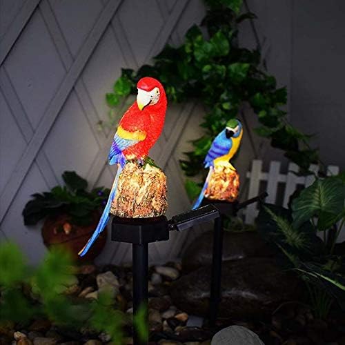 Amazon.com : Solar Parrot Garden Lights, Outdoor Decor Figurine Stakes ...