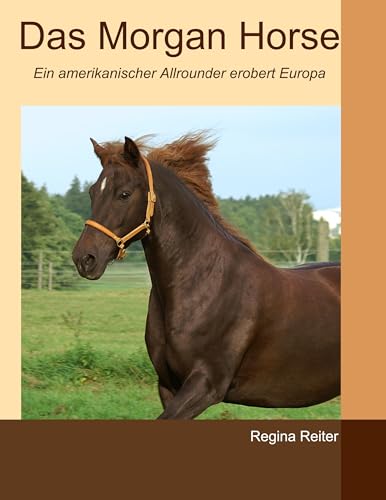 Morgan Horse - Das edle Symbol Vermonts - Reiterguide Magazin