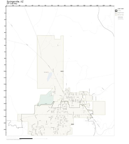 Amazon.com : ZIP Code Wall Map of Springerville, AZ ZIP Code Map ...
