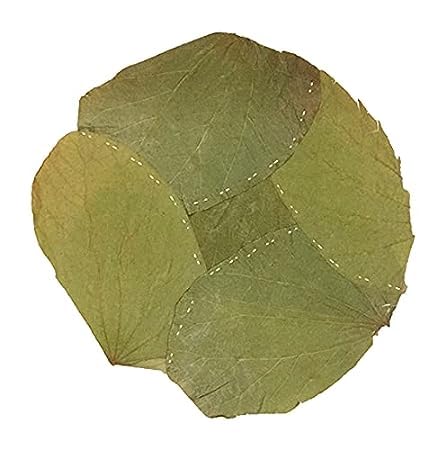 Buy Mandara Leaf Plates for hot Serving Food (100) Online at Low Prices ...