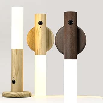 Miebul USB Charging Wall Mounted Torch Lights, Motion Sensor Night ...