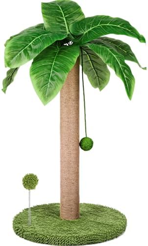 Amazon.com : ZooZoo Cat Scratching Post, Cat Coconut Palm Tree for ...
