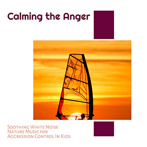 Play Calming the Anger - Soothing White Noise Nature Music for ...