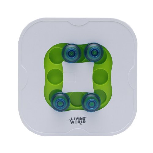 25 Best Guinea Pig Toys in 2024 | Pango Pets