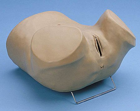 Amazon.com: Nasco Gynecological Simulator - Model SB23542U - Each ...