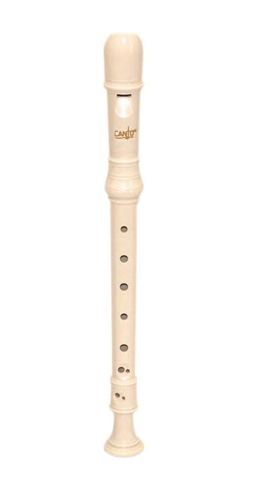 Buy Rhythm Band School Children Musical Instruments Canto Recorder One ...