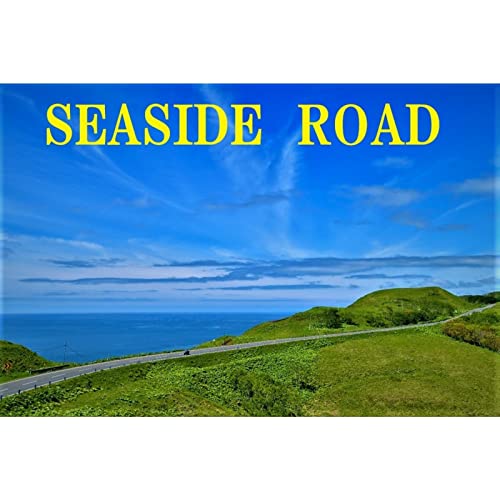 Play SEASIDE ROAD by ChampのKeyb on Amazon Music