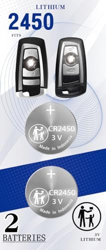 Amazon.com: Pinochi CR2450 Key Fob Battery Replacement for BMW (2009 ...