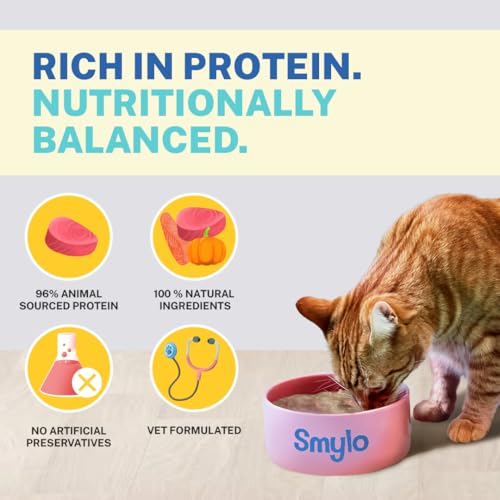 Smylo Natural Healthy Kitten Wet Food (2-12 Months) 70g x 48 Packs ...