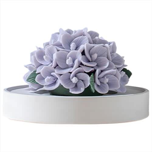 Amazon.com: Passive Diffuser, Porcelain Aromatherapy Diffuser ...