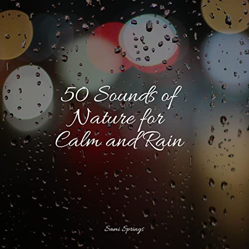 Amazon Music Unlimited - Natural Rain Sounds for Sleeping, Sleep Songs ...