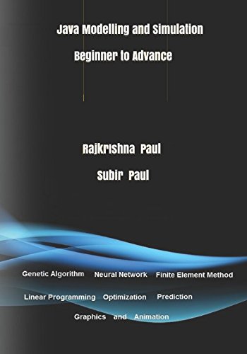 Java Modelling and Simulation Beginner to Advance: Science and Engineering: Rajkrishna Paul ...
