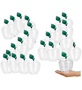 Amazon.com: HANZE Large Red Apple Container, Apple Shaped Candy Toy ...