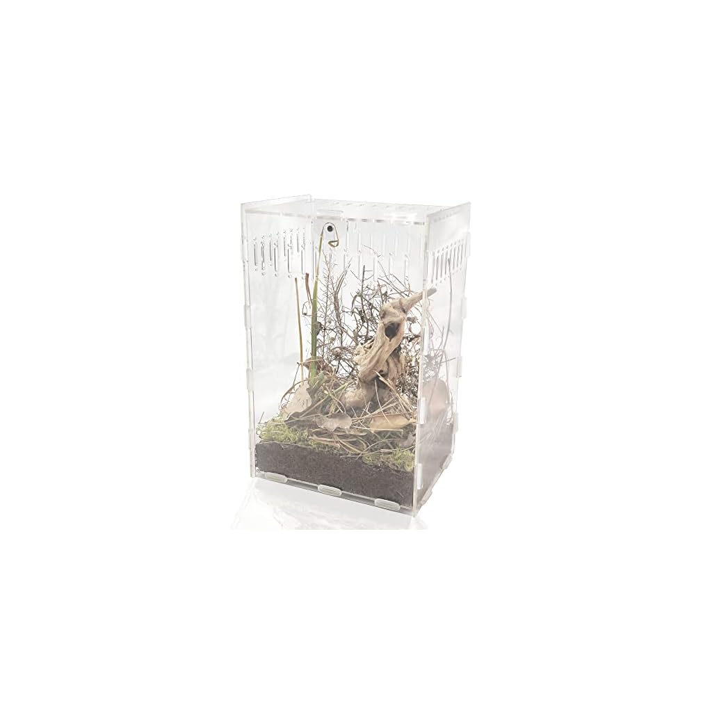 12x8x6 inch Magnetic Acrylic Reptile Case, Vertical Transparent ...