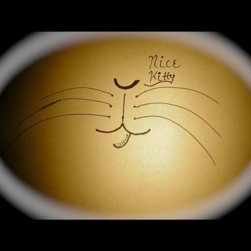 Play Certain by Nice Kitty on Amazon Music