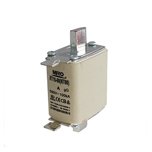 Miro NT00-40A Square Pipe Fuse (Normal) 40 Amp 690V (40A) RT16-00 ...