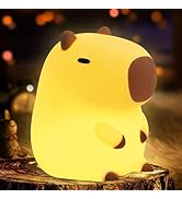 Amazon.com: YR YRHH-PET Kungfu Pose Panda Night Light, LED Squishy ...