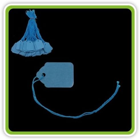 Amazon.com: 100 Blue Strung Tickets 32 x 22 mm Price Tags String Swing ...