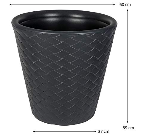 Pflanzkbel Fr Palmen Draussen 60 Cm