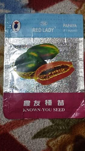 Fast Growing Hybrid Papaya Fruit F-1 Seeds 2 gram : Amazon.in: Toys & Games