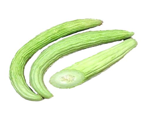 Fresh Cucumber (Kakdi), 500 g : Amazon.in: Grocery & Gourmet Foods